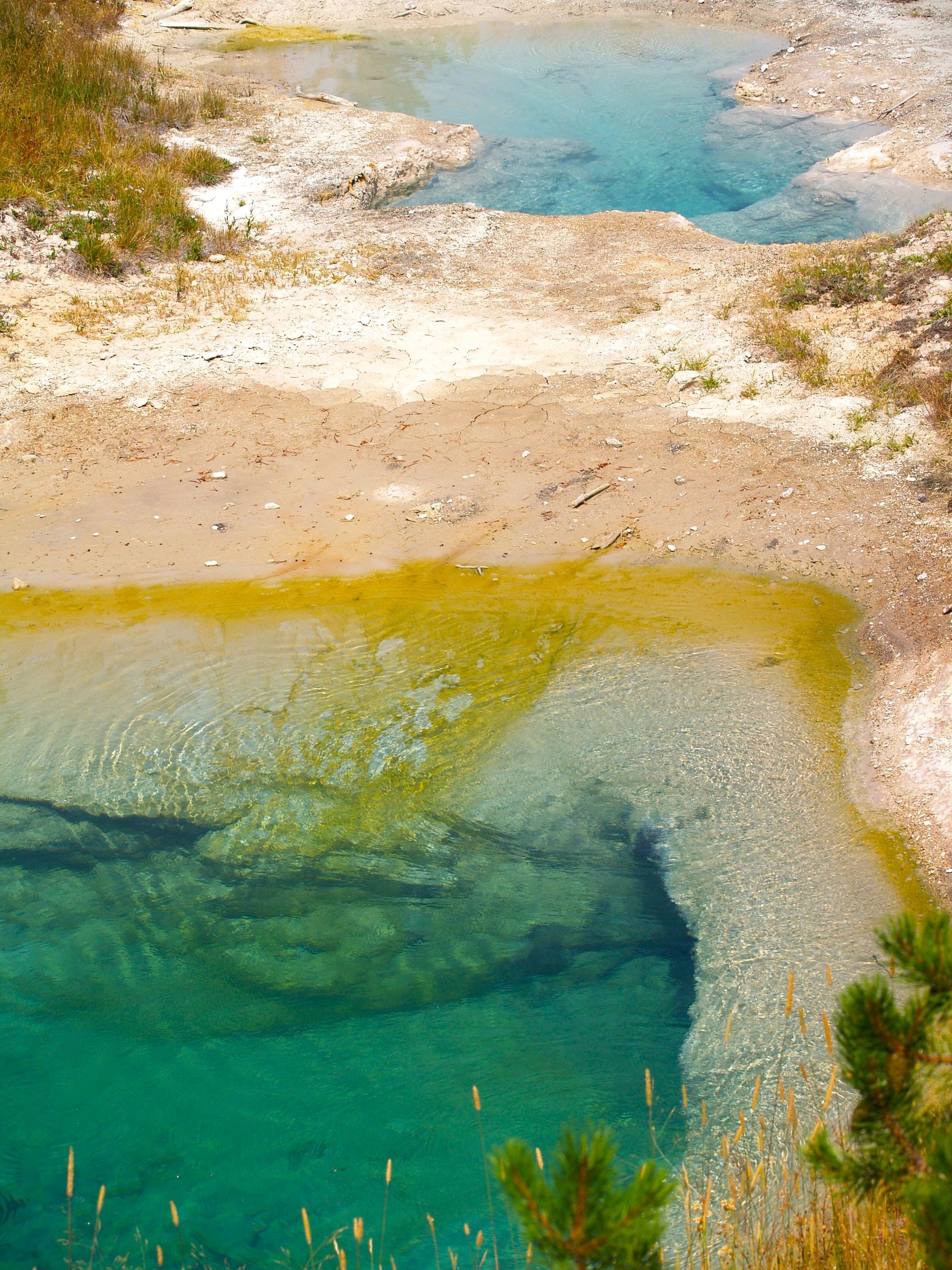 Home | Writing Excellence with Deborah Walker Studies